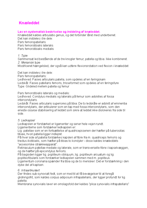 Disposition til ansigtet i den mundtlige i eksamen - Beskriv ansigtets ...