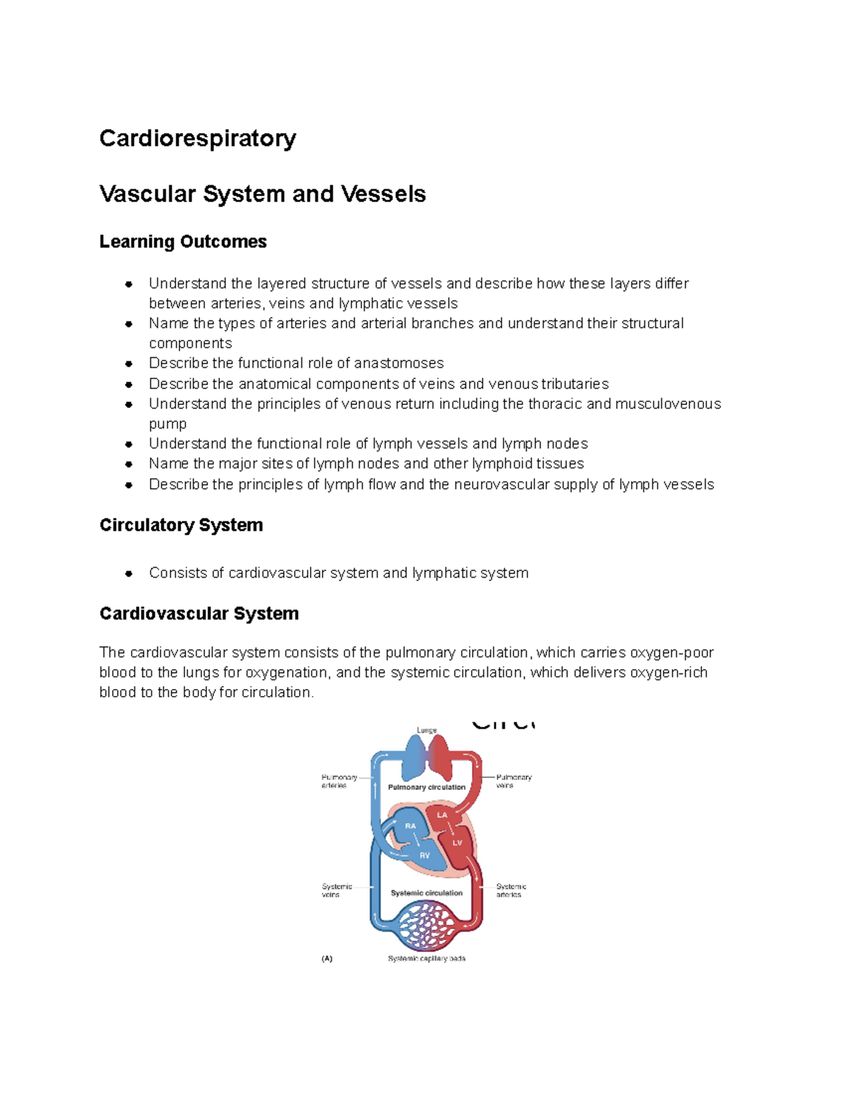 Cardiorespiratory - Cardiorespiratory Vascular System and Vessels ...
