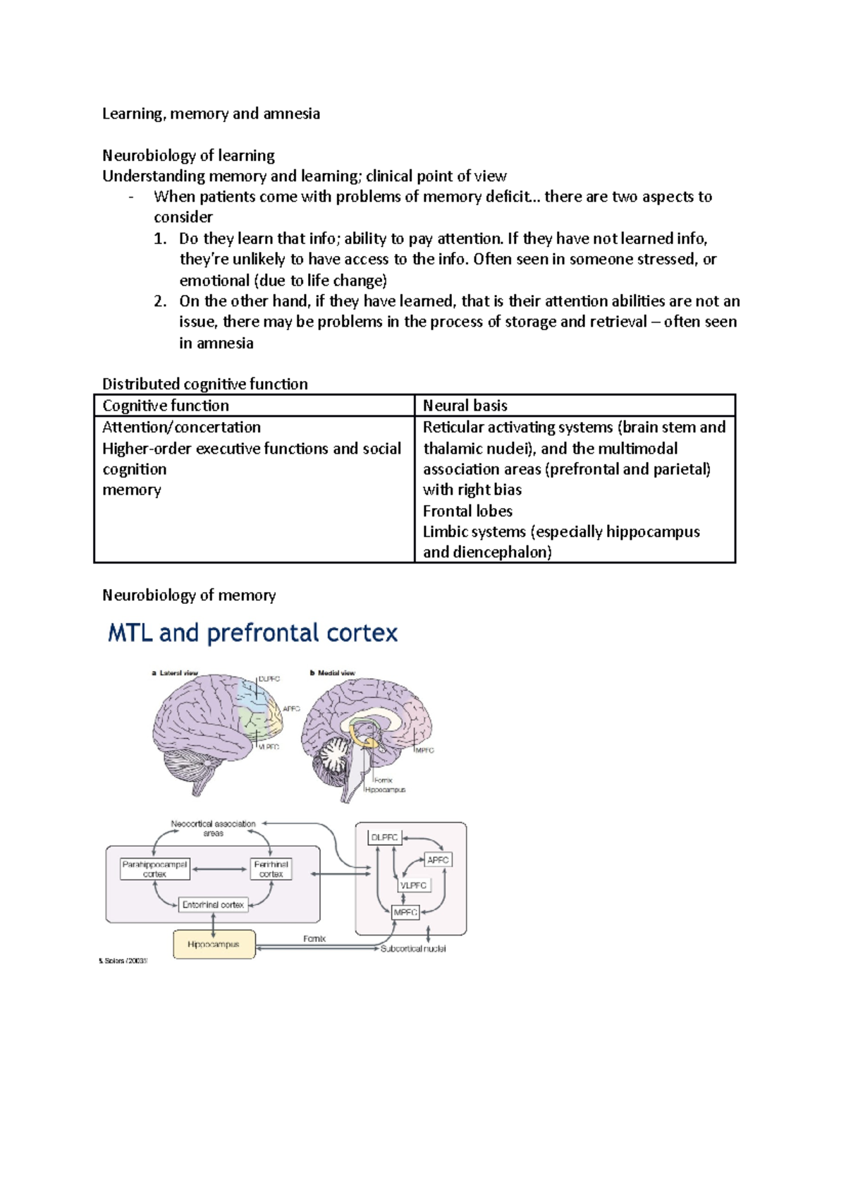 Lecture 8 Learning Memory And Amnesia Learning Memory And Amnesia Neurobiology Of Learning