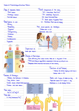 Chapter 21 - Lymphatic system and immune system - BIOL 3402 - Studocu