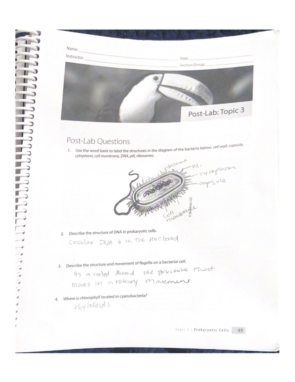 Instructor - n/a - BY 123L - Studocu