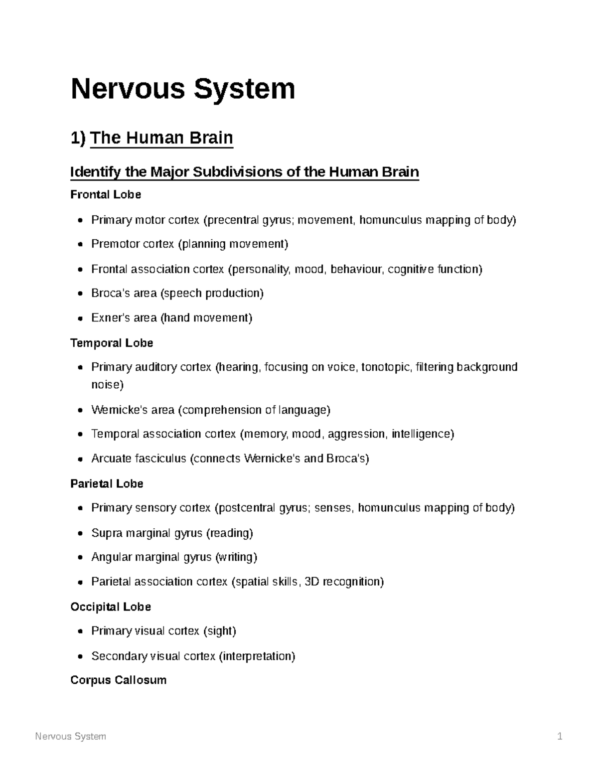 Nervous System - Lecture notes 1 - Nervous System 1) The Human Brain ...