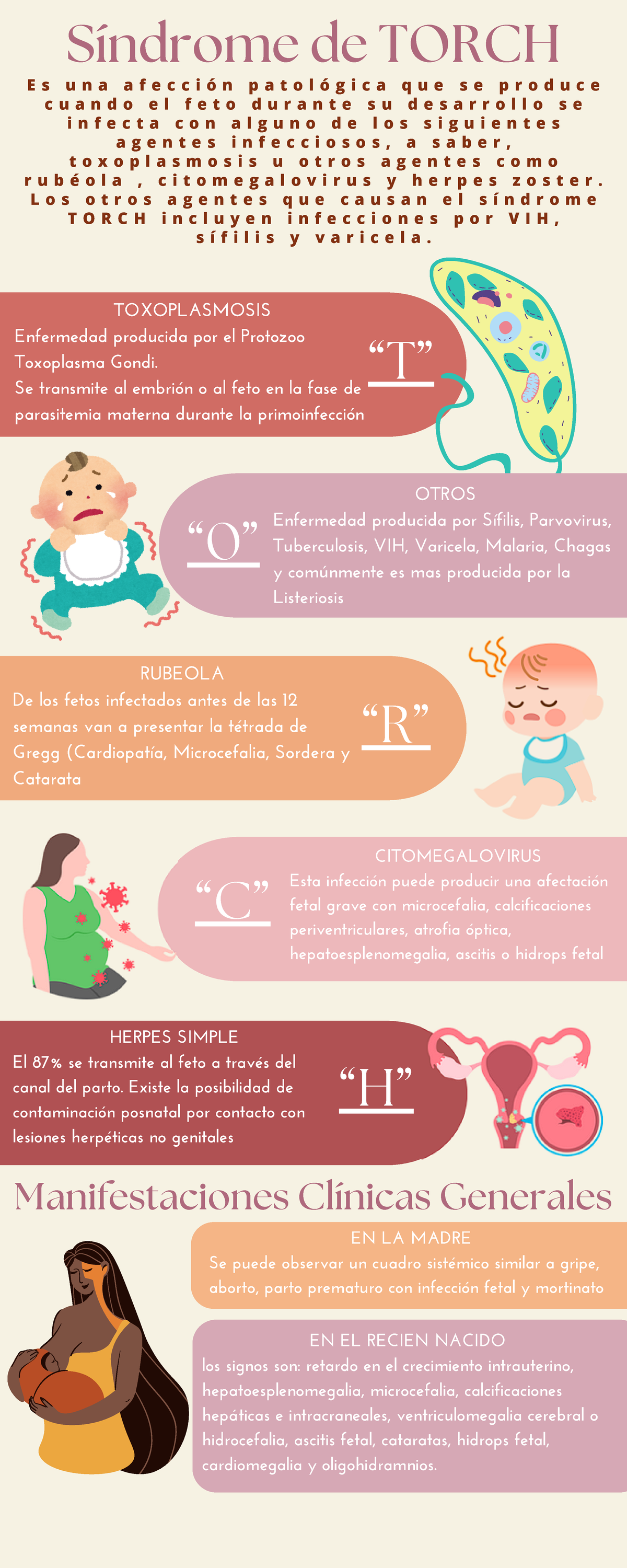 Síndrome de Torch - E s u n a a f e c c i ó n p a t o l ó g i c a q u e ...