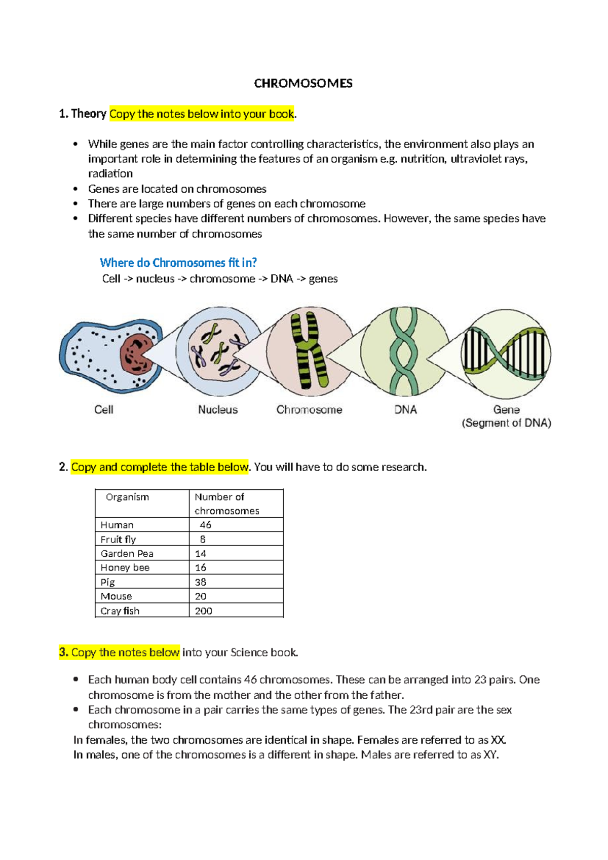 6 Chromosomes - njj,n - CHROMOSOMES 1. Theory Copy the notes below into ...