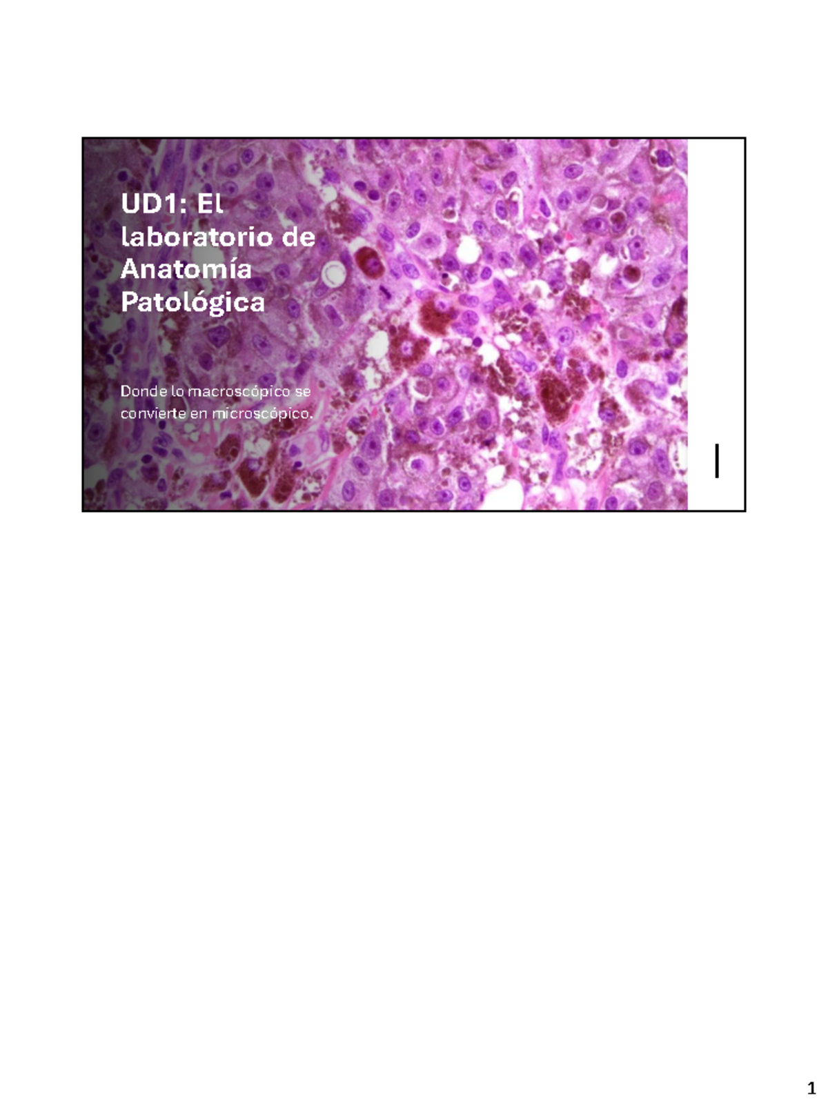 1 El laboratorio de Anatomía Patológica - UD1: El laboratorio de ...