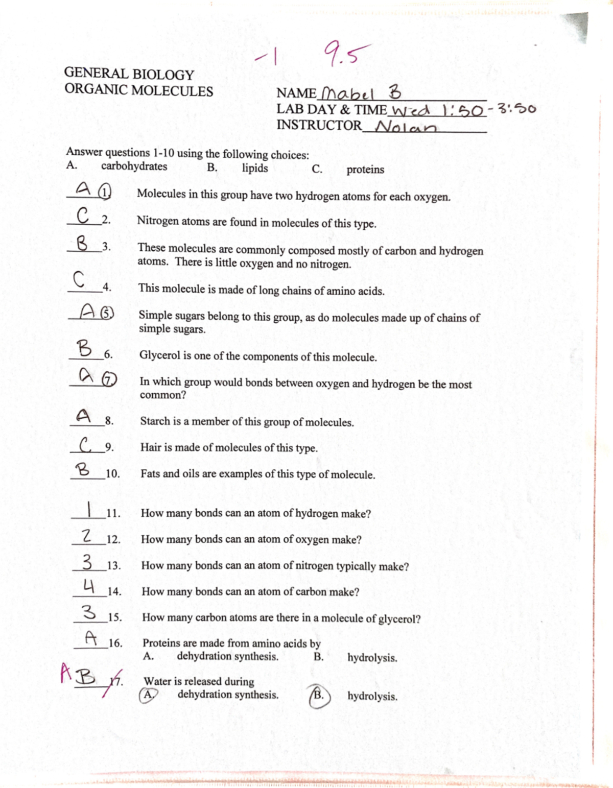 Organic molecules lab quiz - BI101 - Studocu