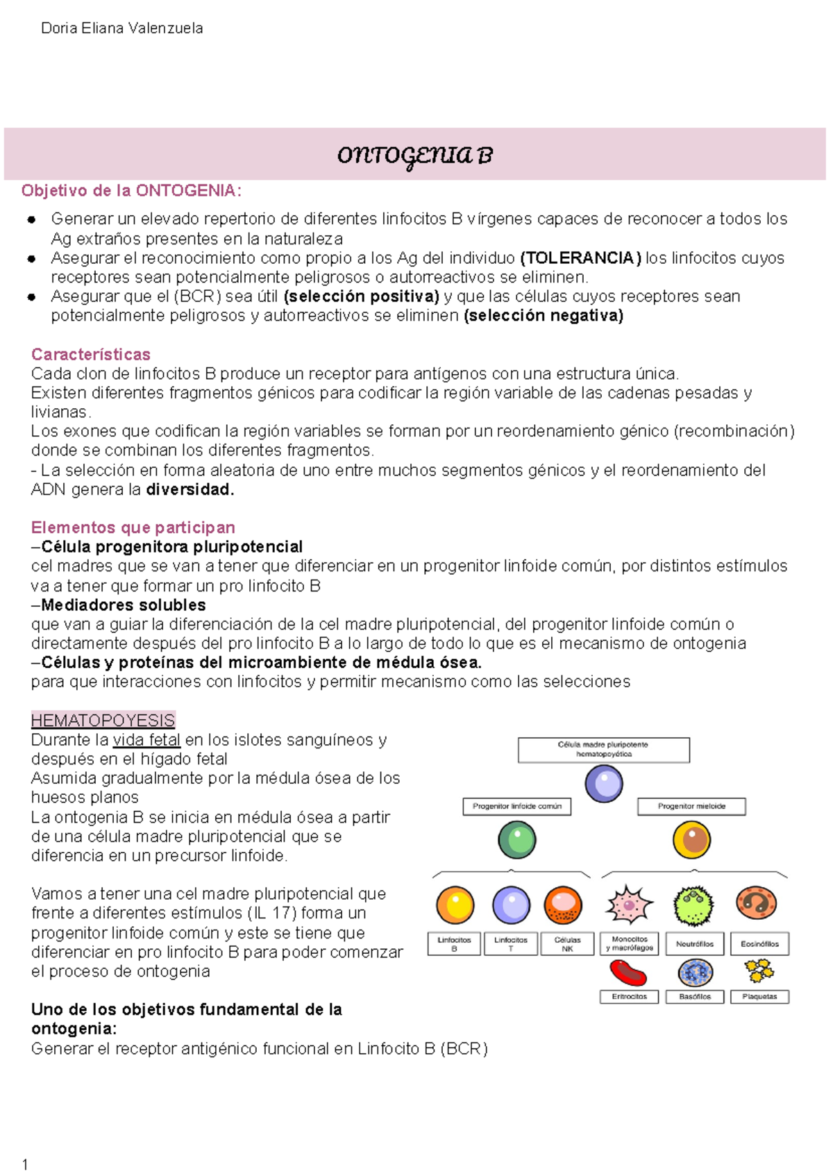 Ontogenia B - ONTOGENIA B Objetivo de la ONTOGENIA: Generar un elevado ...