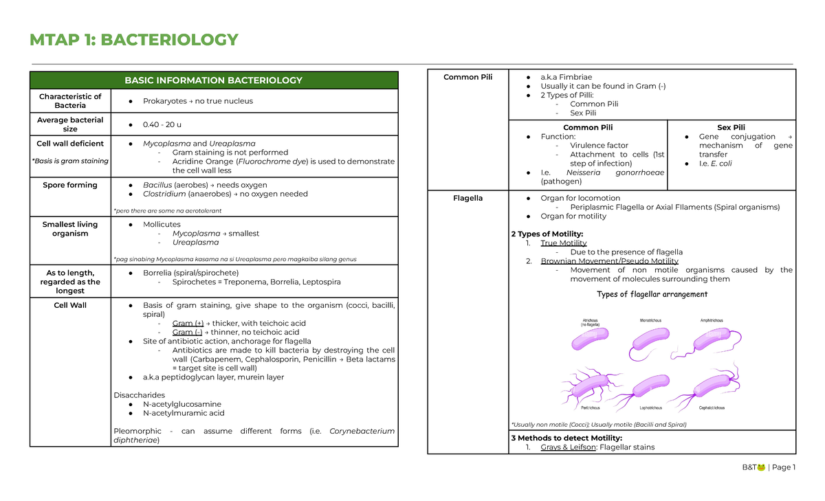MTAP1 Bacte - MTAP 1: BACTERIOLOGY BASIC INFORMATION BACTERIOLOGY ...