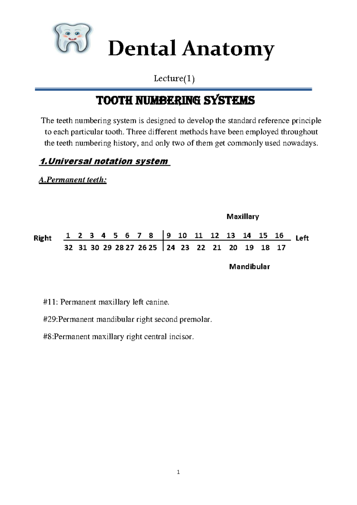 Dental Anatomy 2021 - Dental Anatomy Lecture( 1 ) Tooth Numbering ...