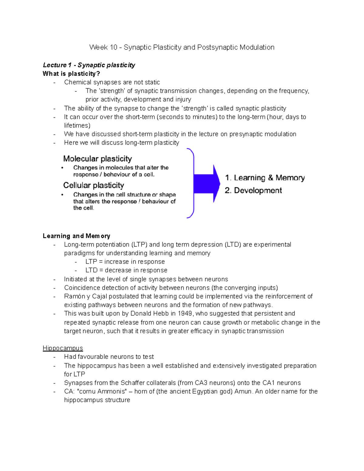 Week 10 Synaptic Plasticity And Postsynaptic Modulation Week 10 Synaptic Plasticity And
