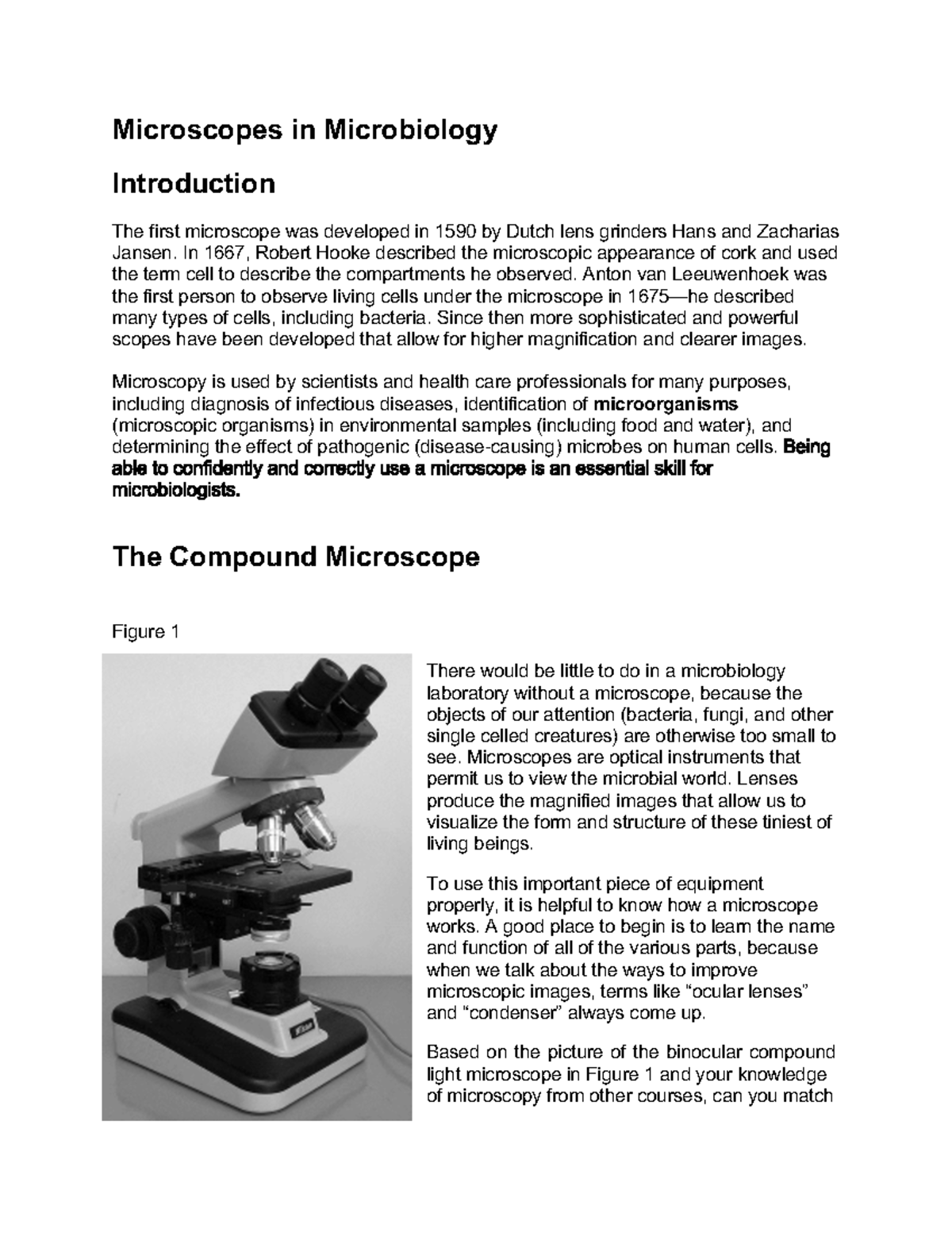 Microscopes in Microbiology - Microscopes in Microbiology Introduction ...