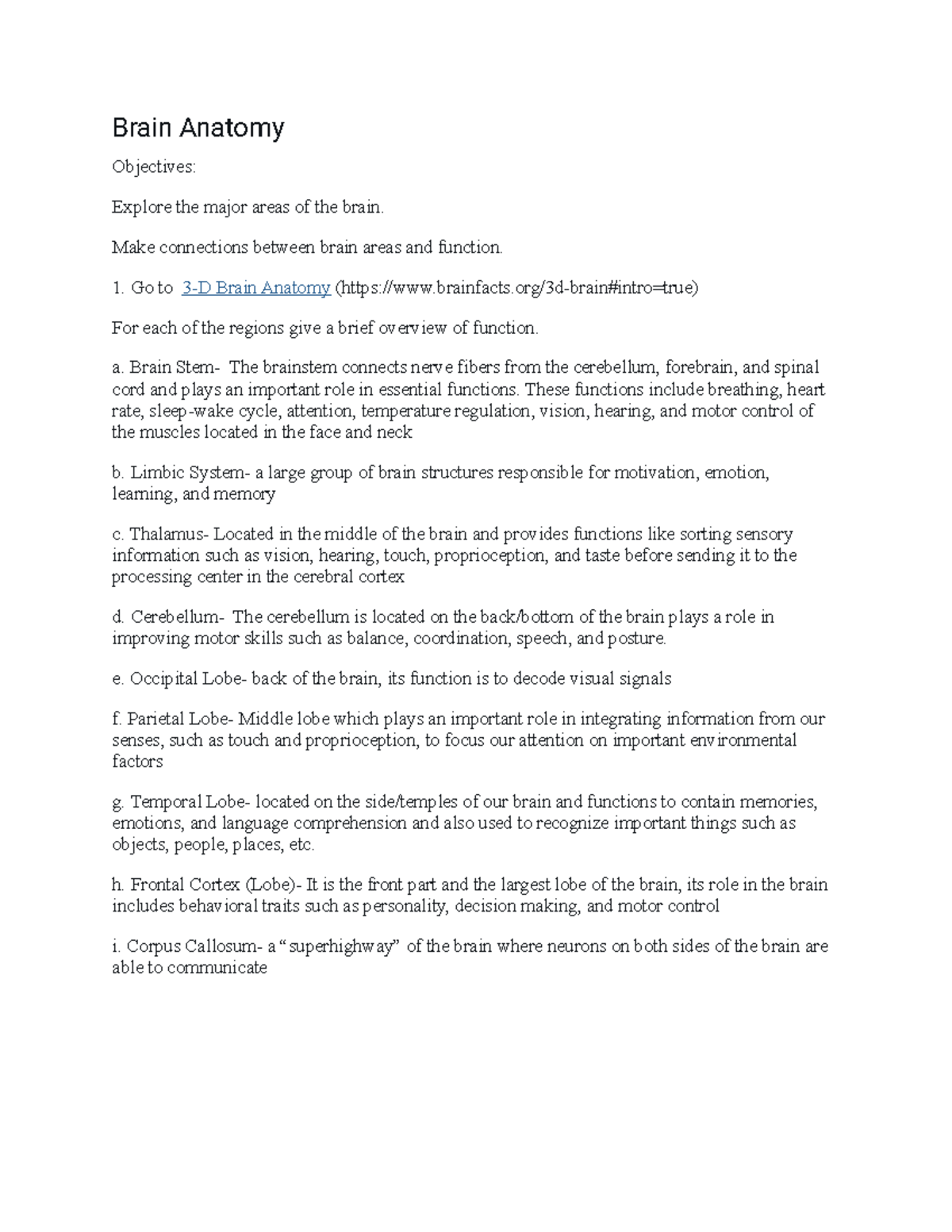 Brain Anatomy - This is an assignment for the course. - Brain Anatomy ...