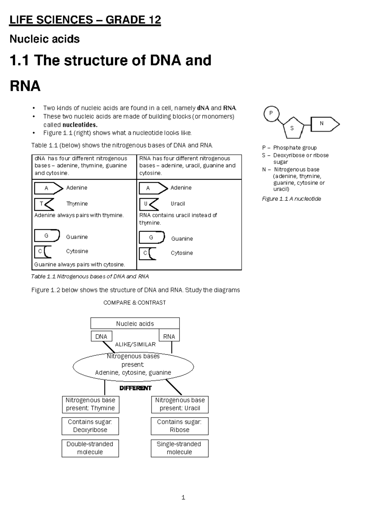 LIFE Sciences Grade 12 Notes - ####### LIFE SCIENCES – GRADE 12 ...