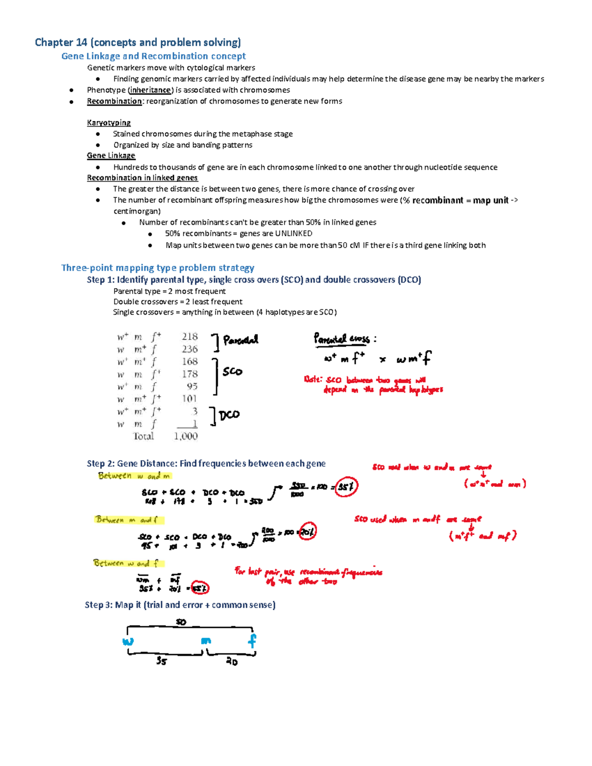 Exam 2 study guide - Lecture summary exam review - Warning: TT: undefined function: 32 Chapter ...