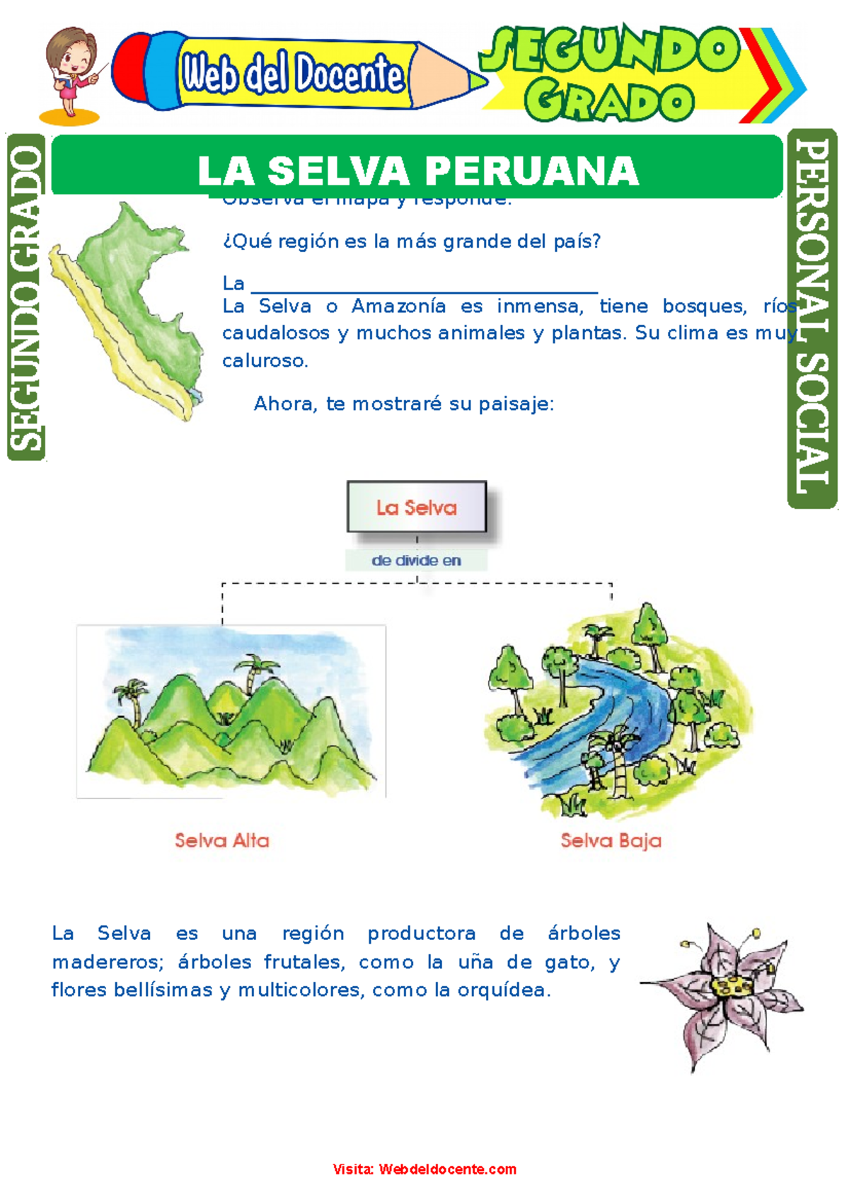 La Selva Peruana para Segundo Grado de Primaria - Observa el mapa y ...