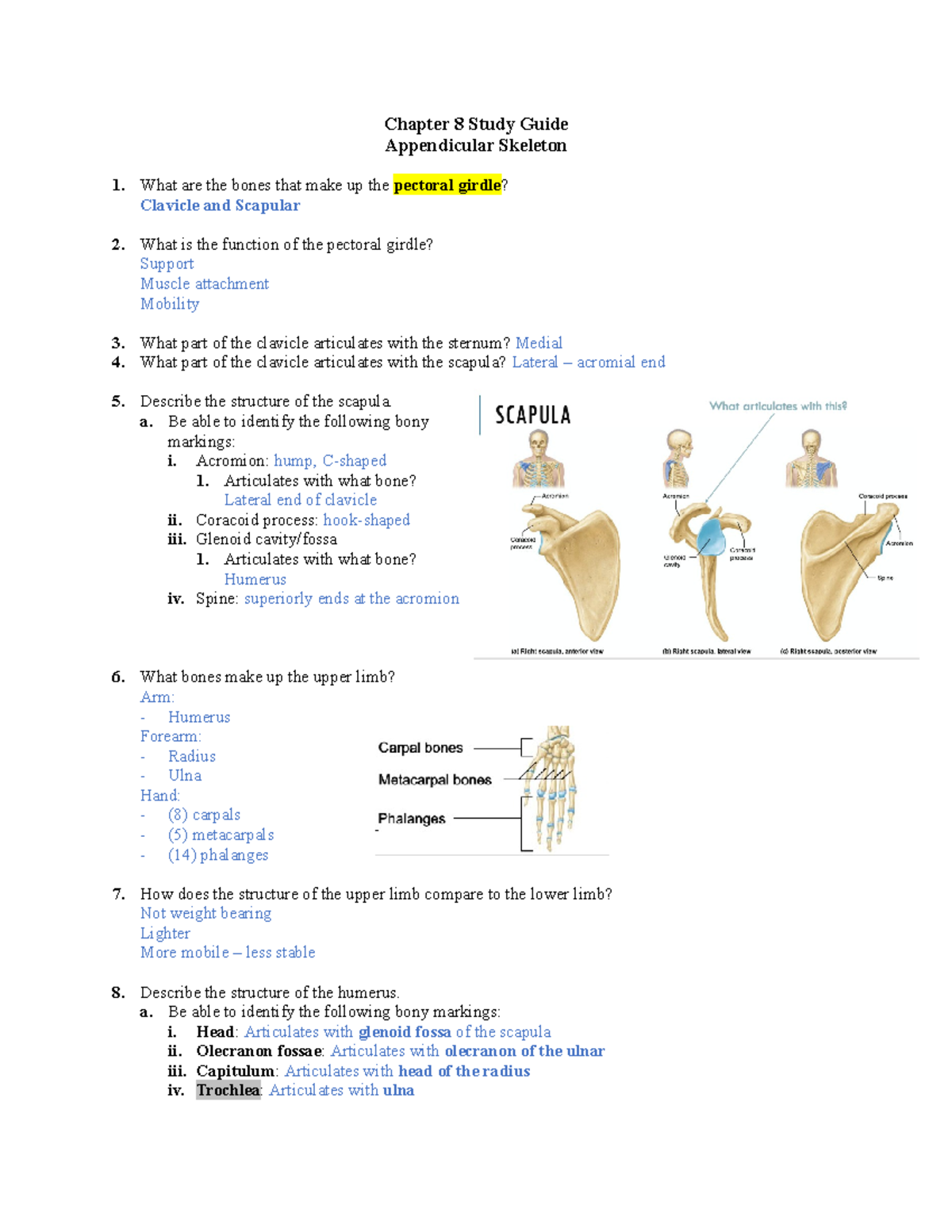 Chapter 8 Study Guide Appendicular Skeleton - a. Be able to identify ...