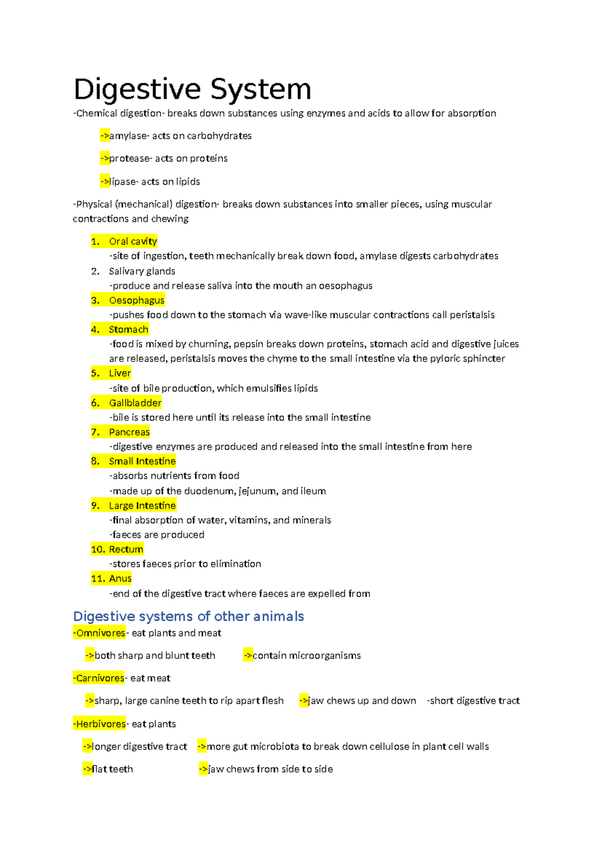 Digestive System- VCE Biology Unit 1 - Digestive System -Chemical ...