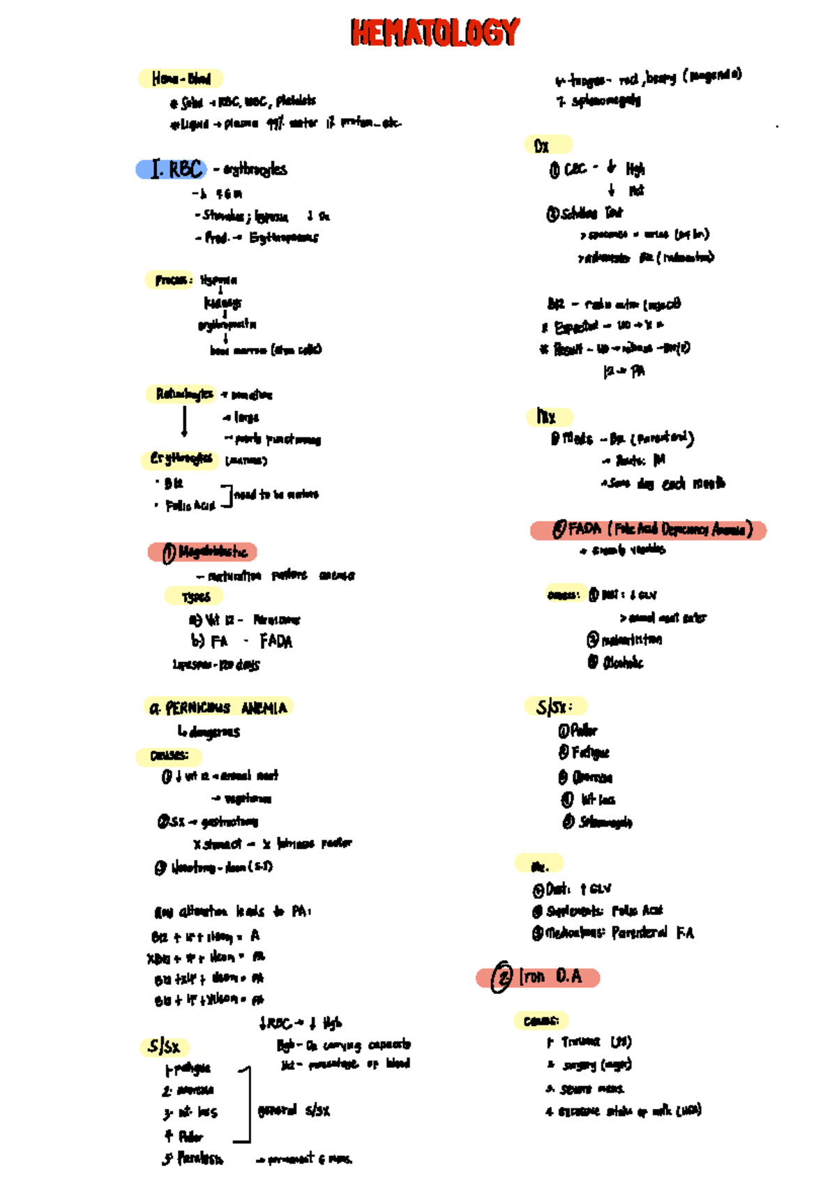 Hematology - Notes - HEMATOLOGY Blood red ,beeFy (magenda) Solid RBC ...