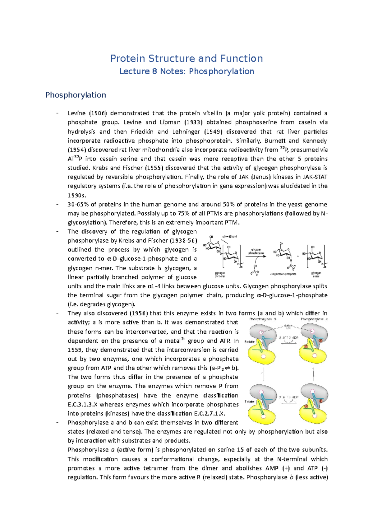 Lecture 8 Notes (Phosphorylation) - Protein Structure and Function ...