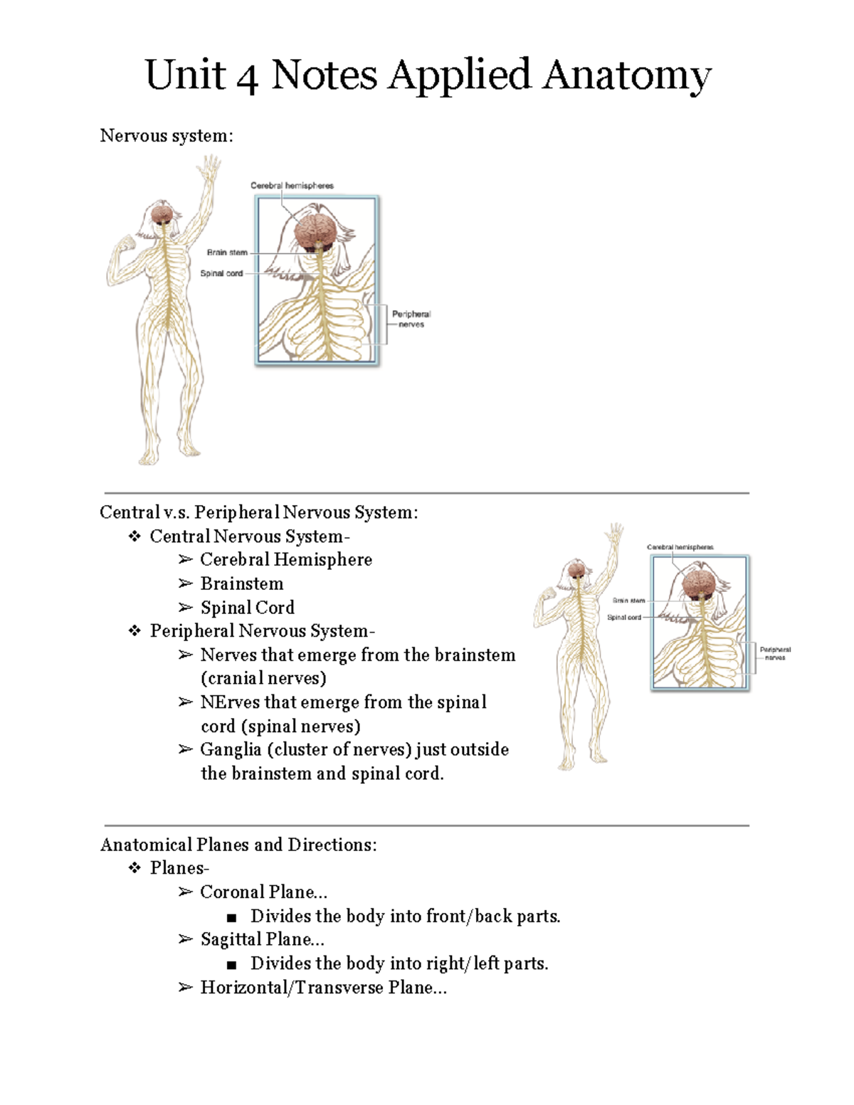 Unit 4 Notes Applied Anatomy - Unit 4 Notes Applied Anatomy Nervous ...