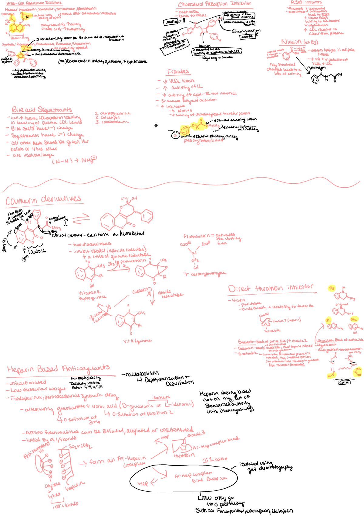 Cholesterol Notes - HMG-CoA Reductase Inhibitors Cholesterol Absorption ...