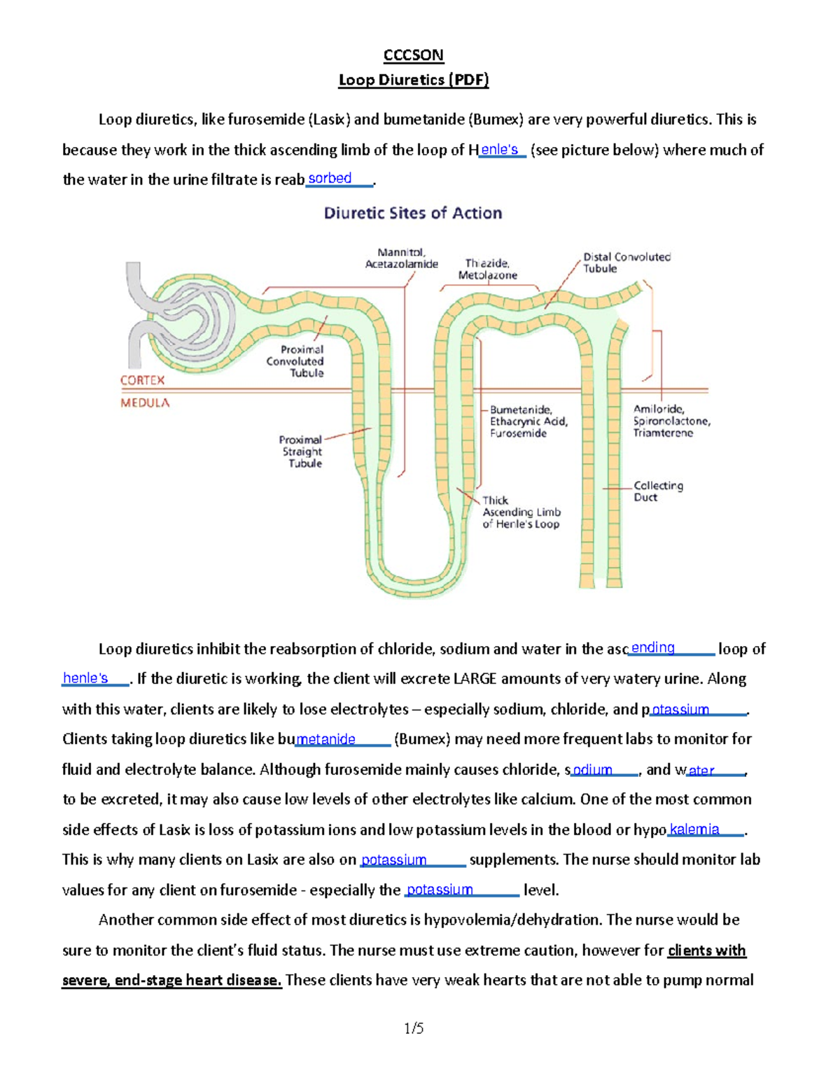 Loop Diuretics rev July, 2020 - CCCSON Loop Diuretics (PDF) Loop ...
