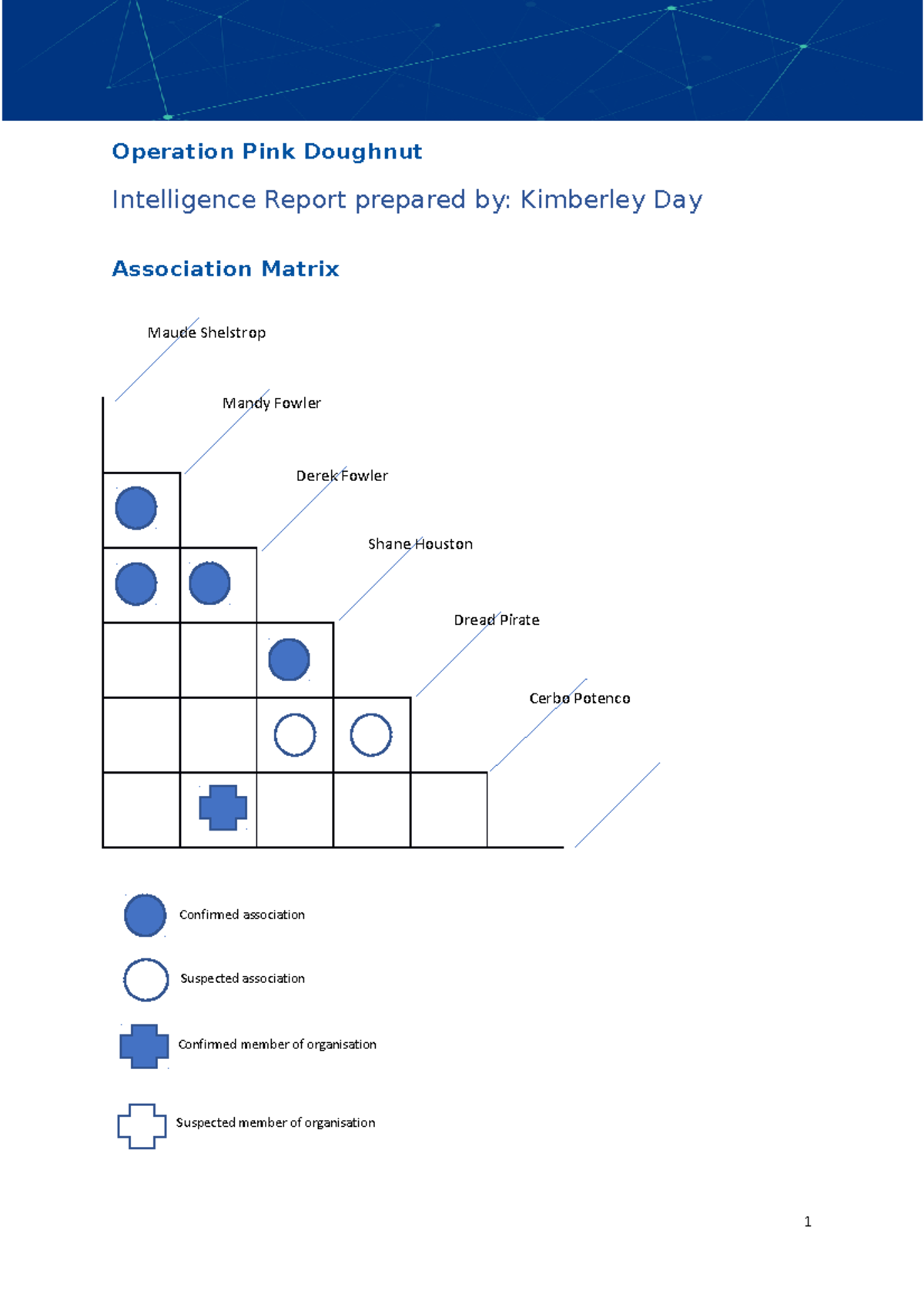 7. Intelligence Report Template - Operation Pink Doughnut Intelligence ...