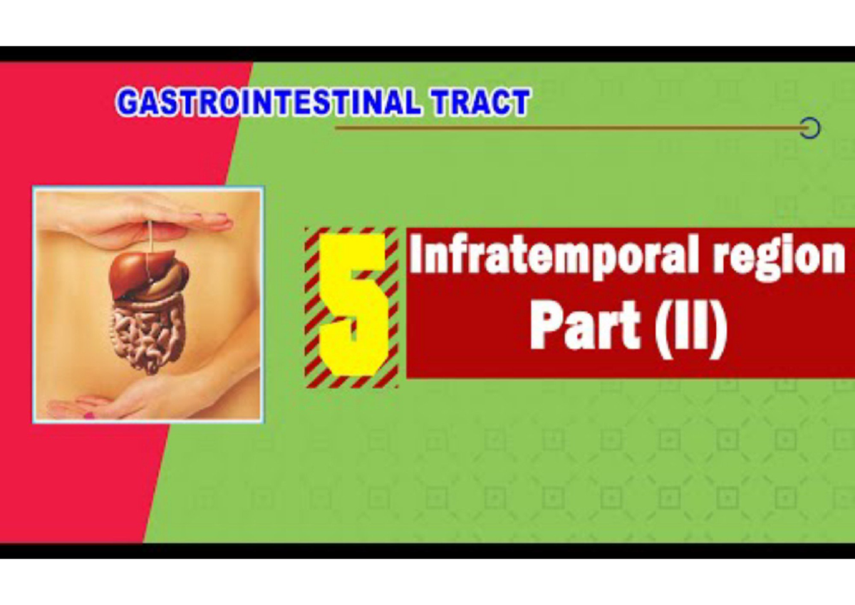 GIT 5 (Infratemporal region II) - Medical study material - Studocu