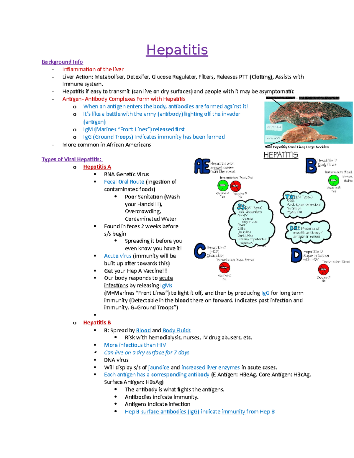 Hepatitis- Notes - bridge program med surg 2 - Hepatitis Background ...
