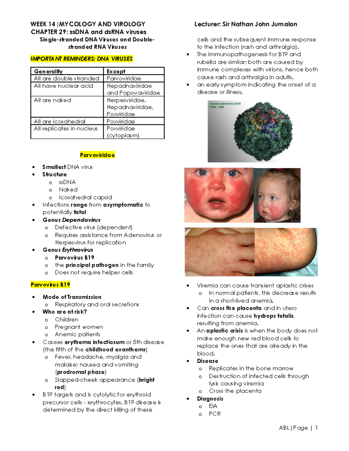 Week-14 Virology - CHAPTER 29: ssDNA and dsRNA viruses Single-stranded ...