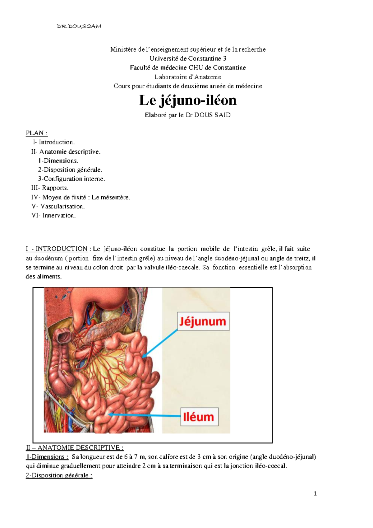 Anato 2an digestif-jejuno ileon 2022dous - Ministère de l’enseignement ...