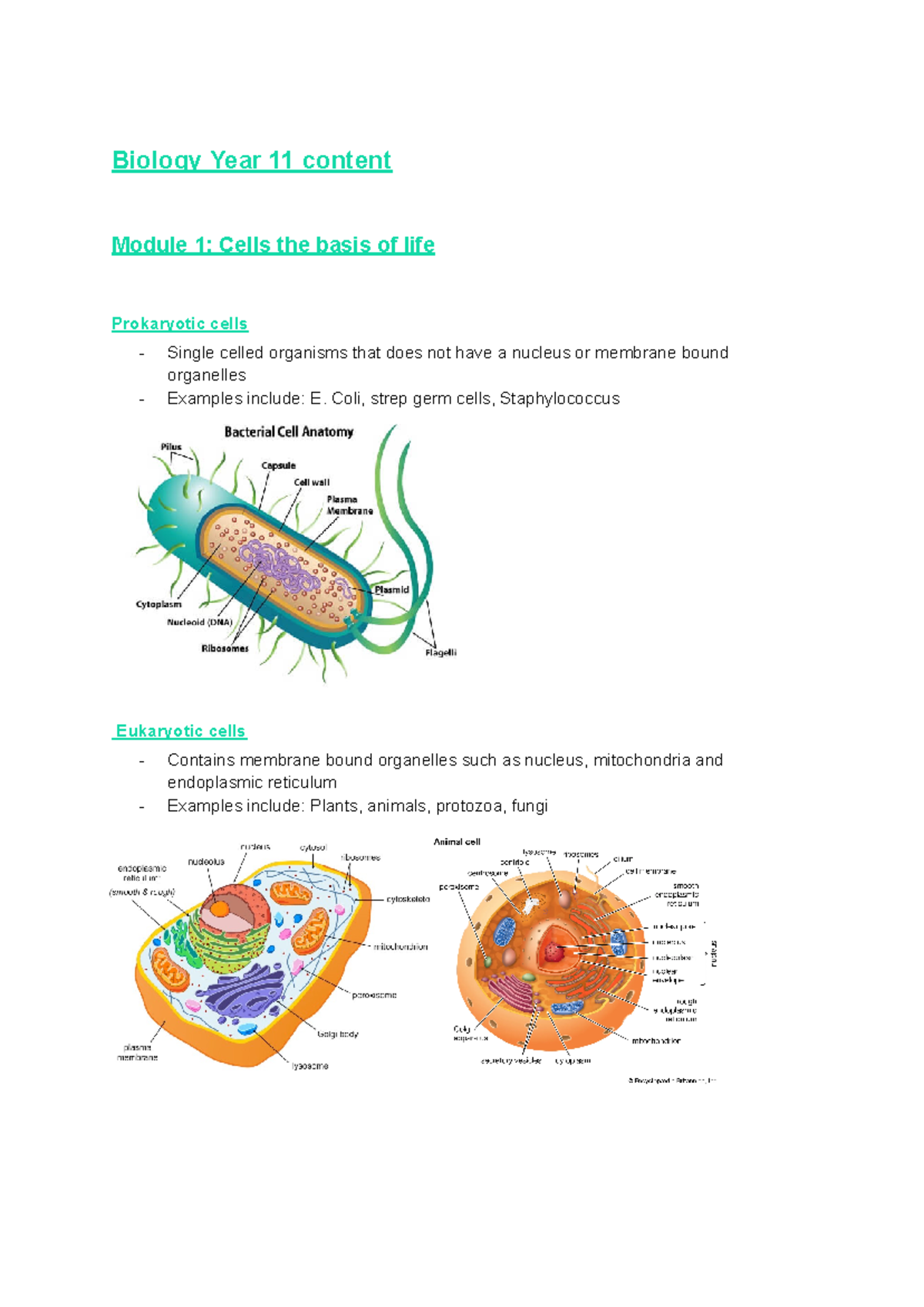 Prelim Bio notes - Biology Year 11 content Module 1: Cells the basis of ...