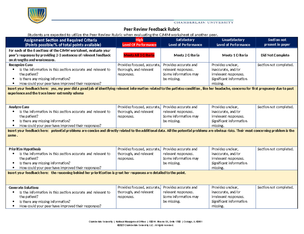 Peer Review Feedback Worksheet for maternal - i-Human Patients ...