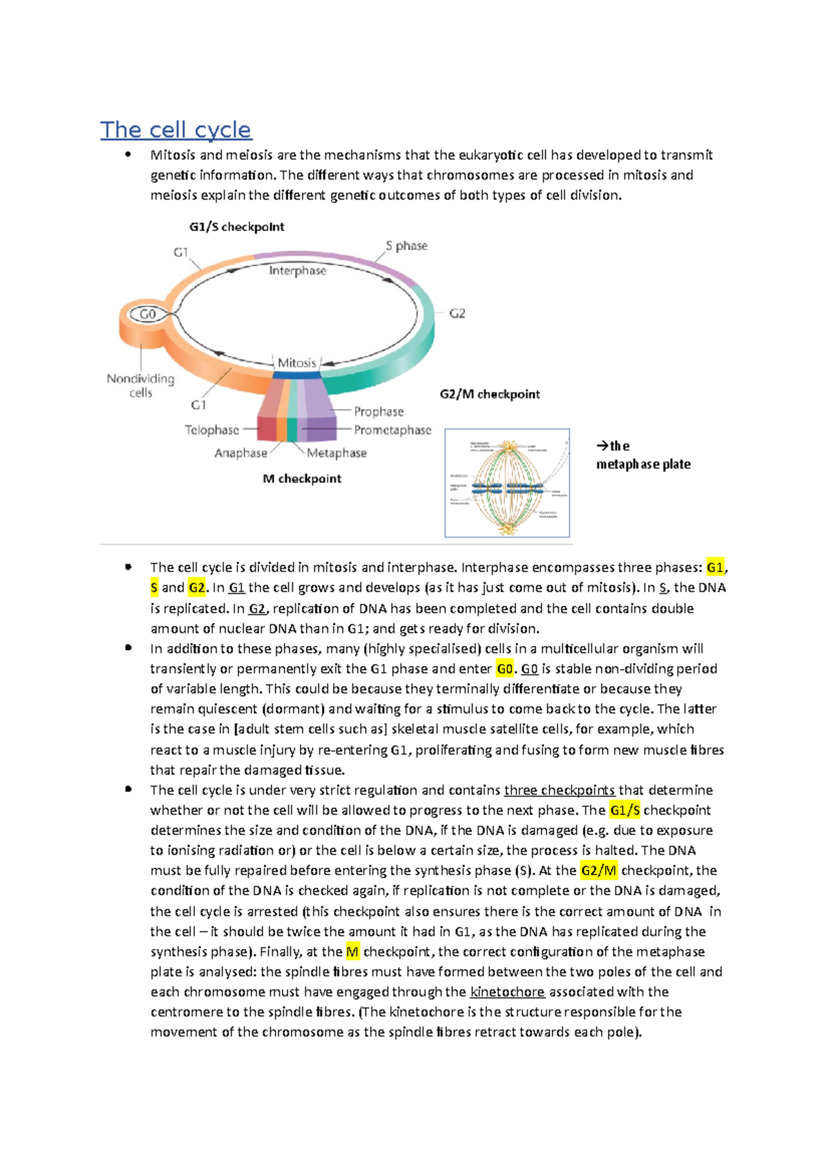 Cell Cycle: Mitosis and Meiosis - Studocu
