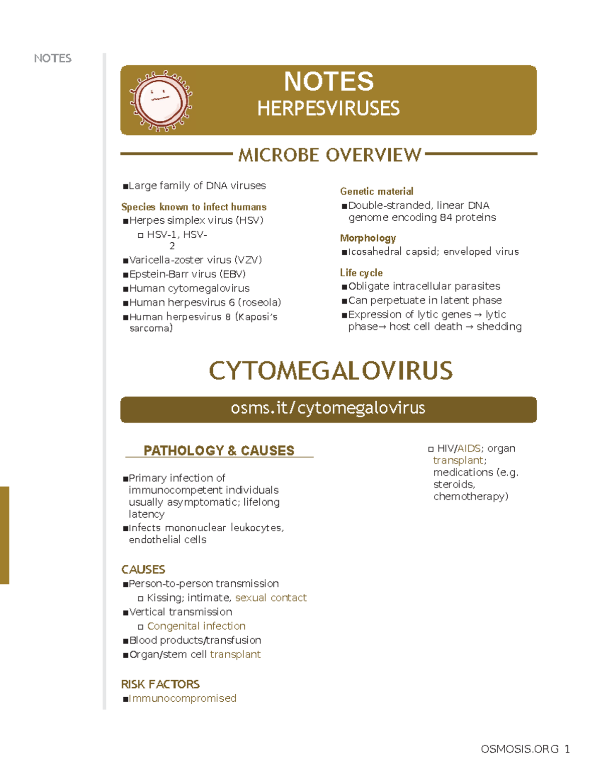 Herpesviruses - Tugas - OSMOSIS 1 NOTES HERPESVIRUSES osms ...