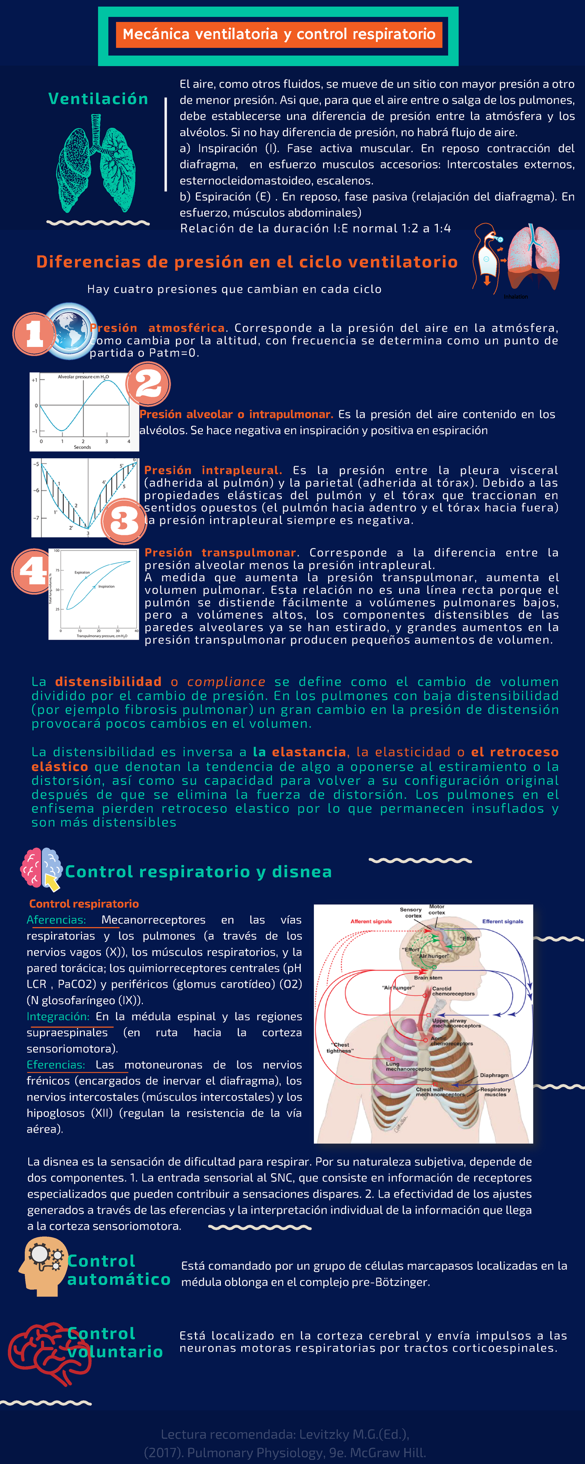 04) Infografía Mecánica ventilatoria y disnea - Control respiratorio ...