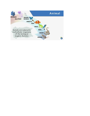 Cell Membrane Coloring Activity Help Students Identify Key Structures-1 ...