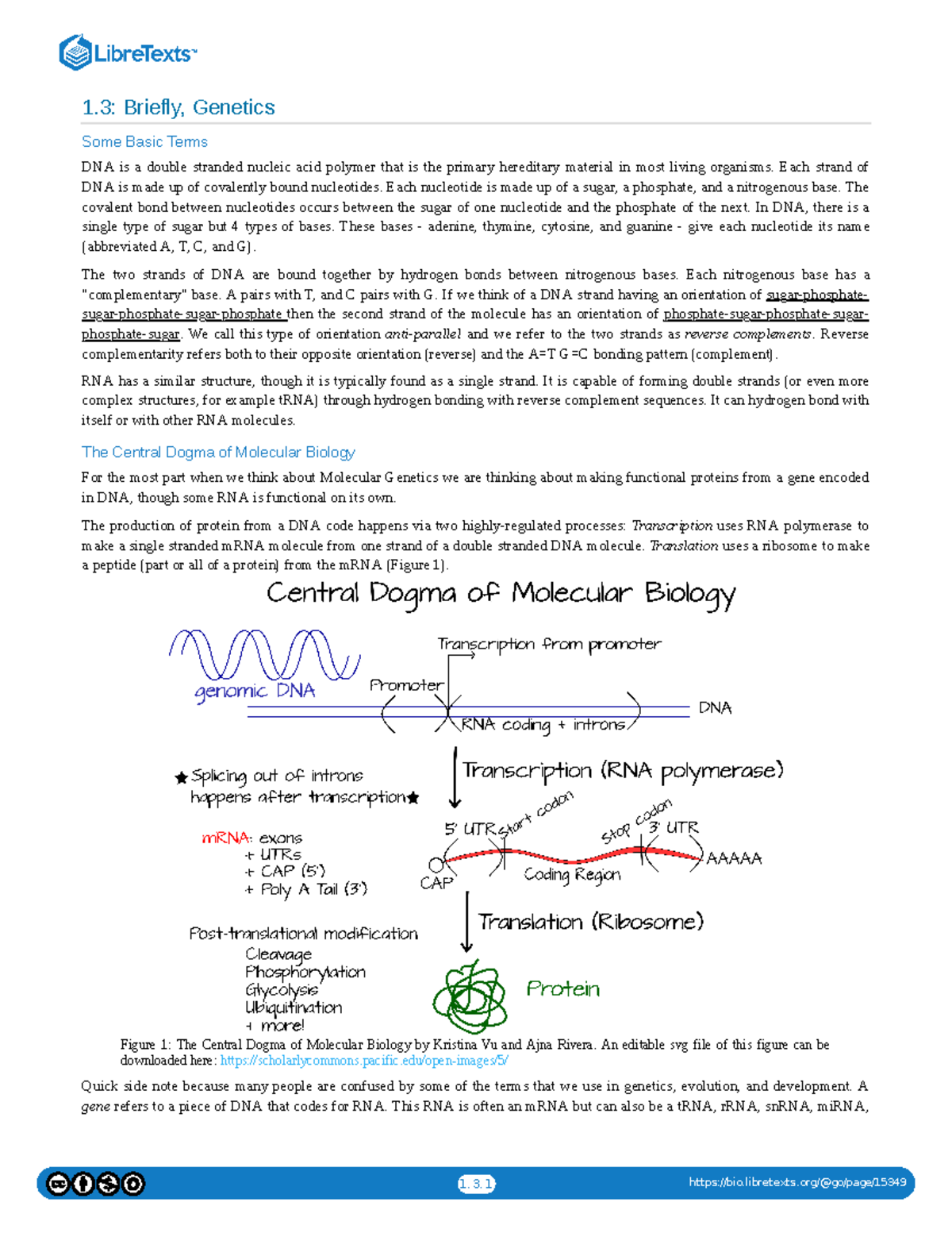 1 - cell biology - 1.3 bio.libretexts/@go/page/ 1: Briefly, Genetics ...