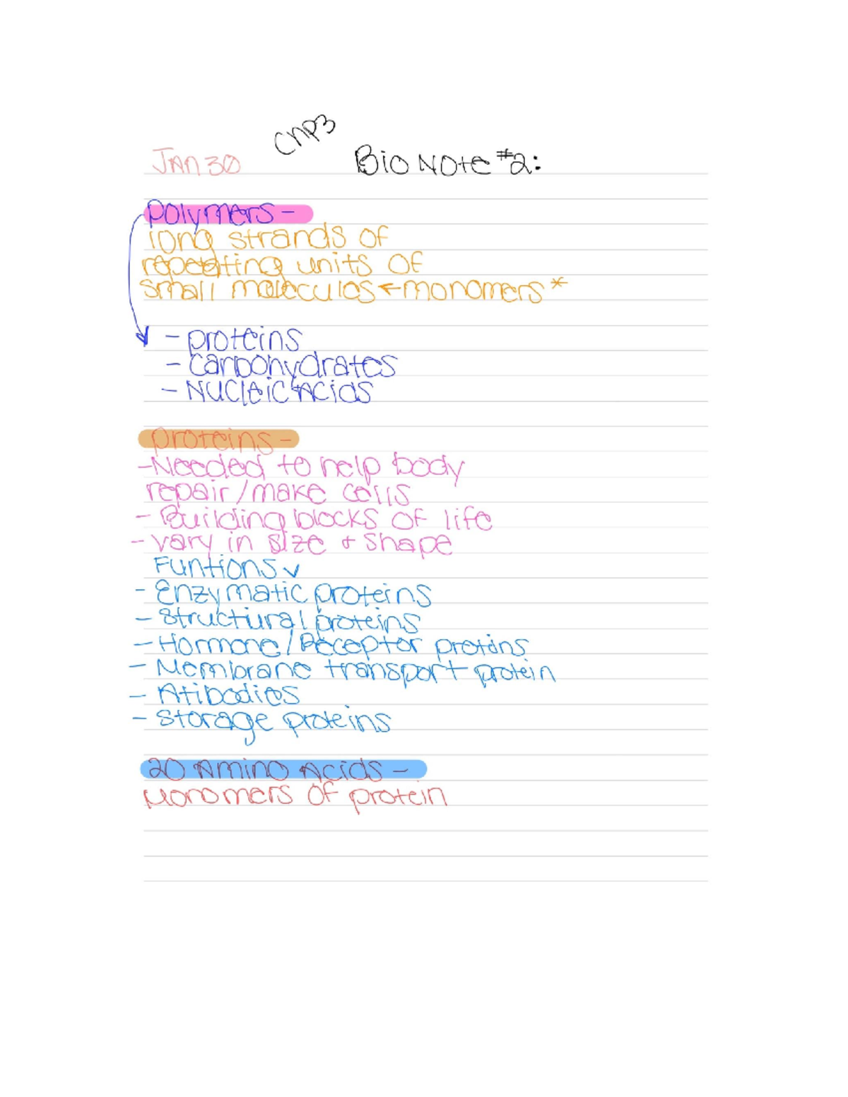 Bio notes-2 - professor jack - Biol103.009 - Studocu