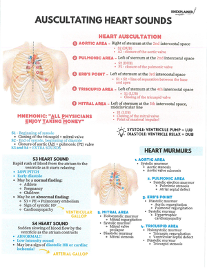 RN Explained Cardiac notes #2 - Studocu