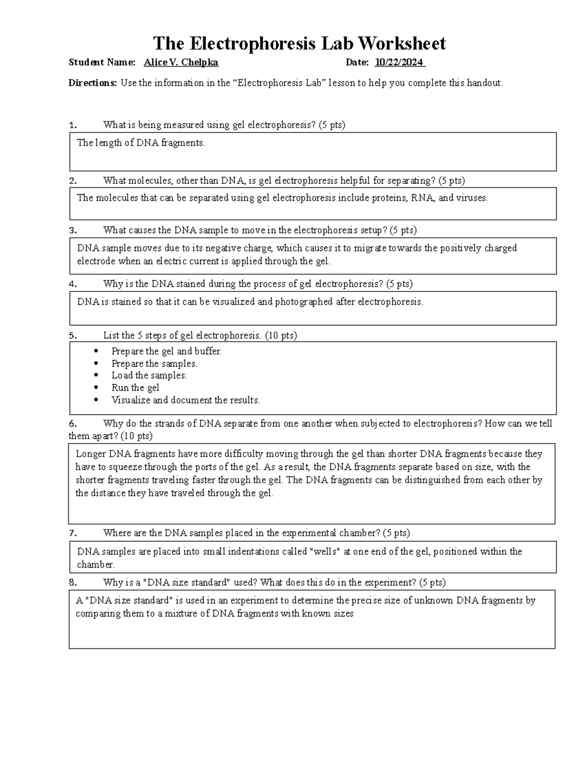 Electrophoresis Lab Student Handout rev - The Electrophoresis Lab ...