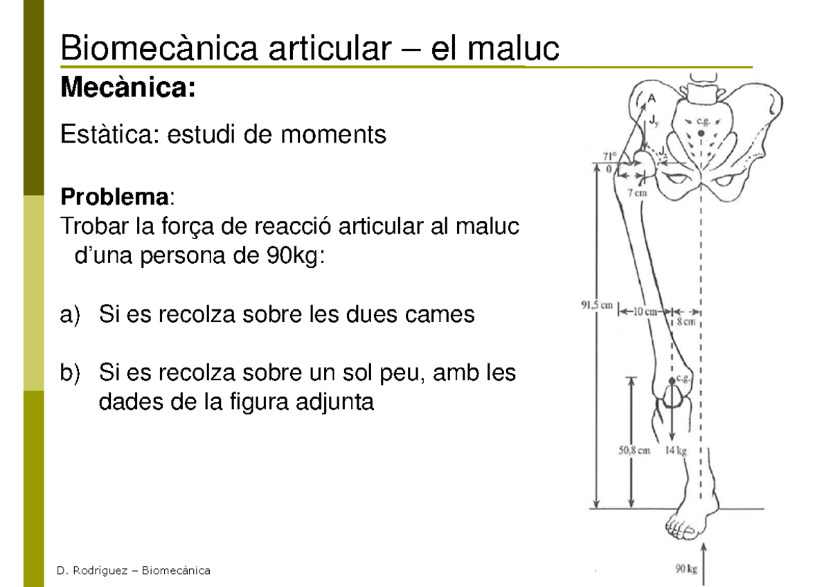 04a-P02s-BMB - Biomecanica articular - Maluc - problema resolt ...