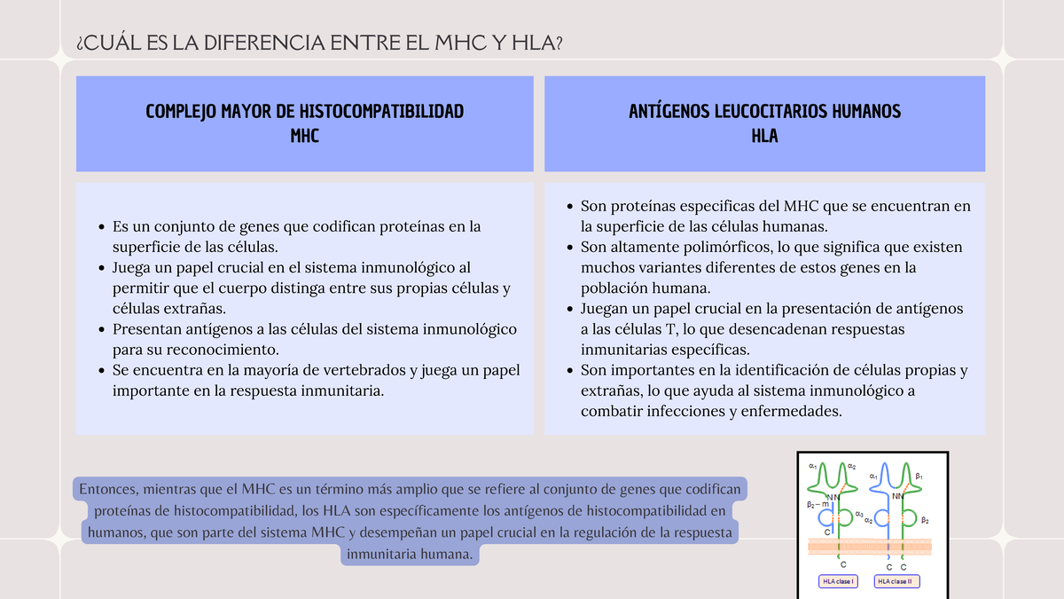 Desarrollo del Sistema Inmune - COMPLEJO MAYOR DE HISTOCOMPATIBILIDAD ...
