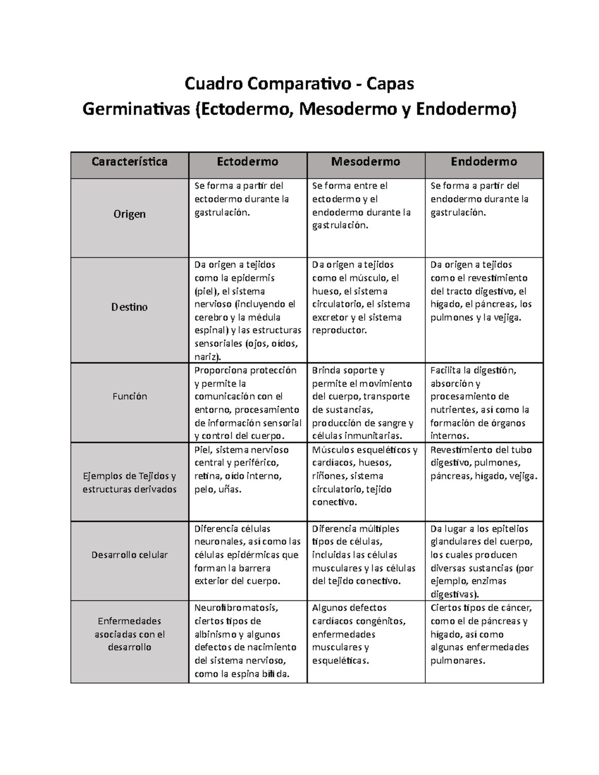 Capas Germinativas Línea Del Tiempo Cuadro Comparativo Capas Germinativas Ectodermo