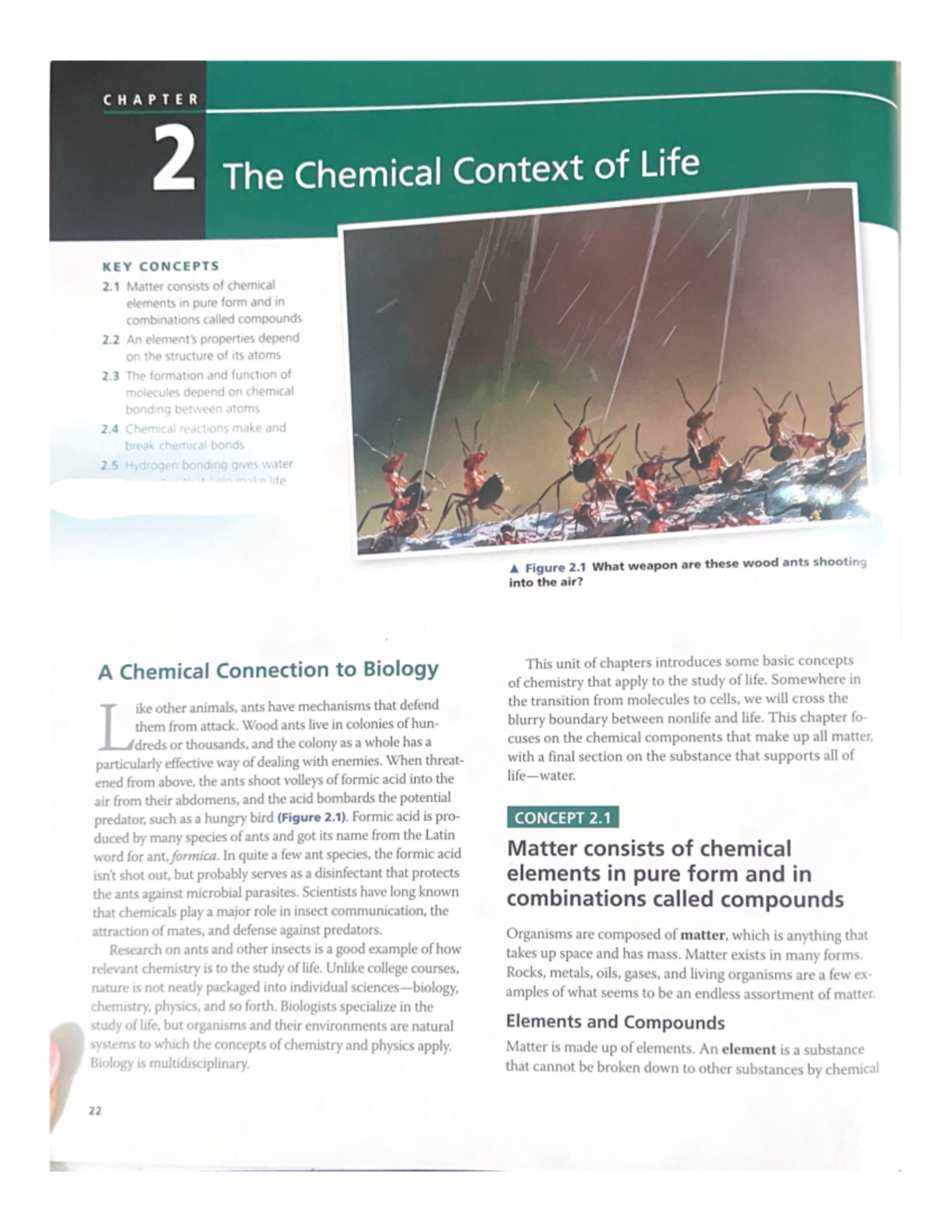 AP Bio chapter 2 - CHAPTER 2 The Chemical Context of Life KEY CONCEPTS 2 Matter consists of ...