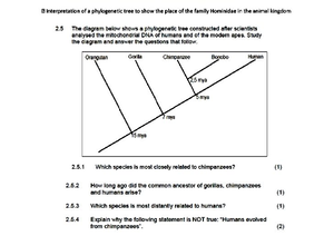 Maths Lit. P1 Revision Booklet - MATHEMATICAL LITERACY PAPER 1 REVISION ...