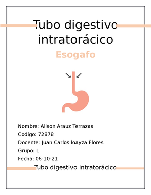 Musculos Rouviere - Musculos Pelvis y Muslo Rouviere Nombre Forma ...