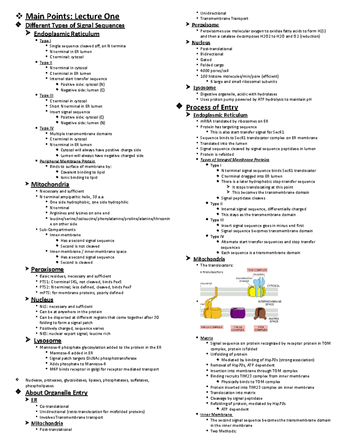 Endoplasmic Reticulum - One side hydrophobic, one side hydrophilic N ...
