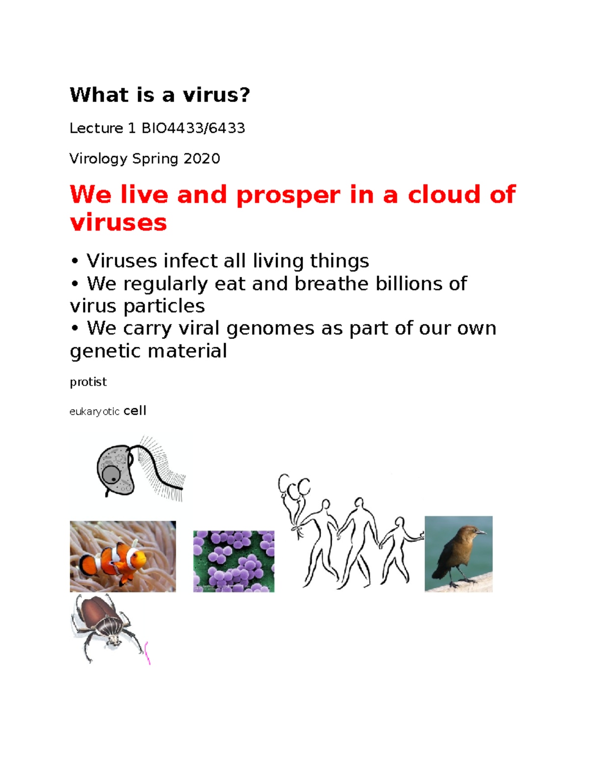 VIrology 1 - Lecture notes 1 - What is a virus? Lecture 1 BIO4433 ...