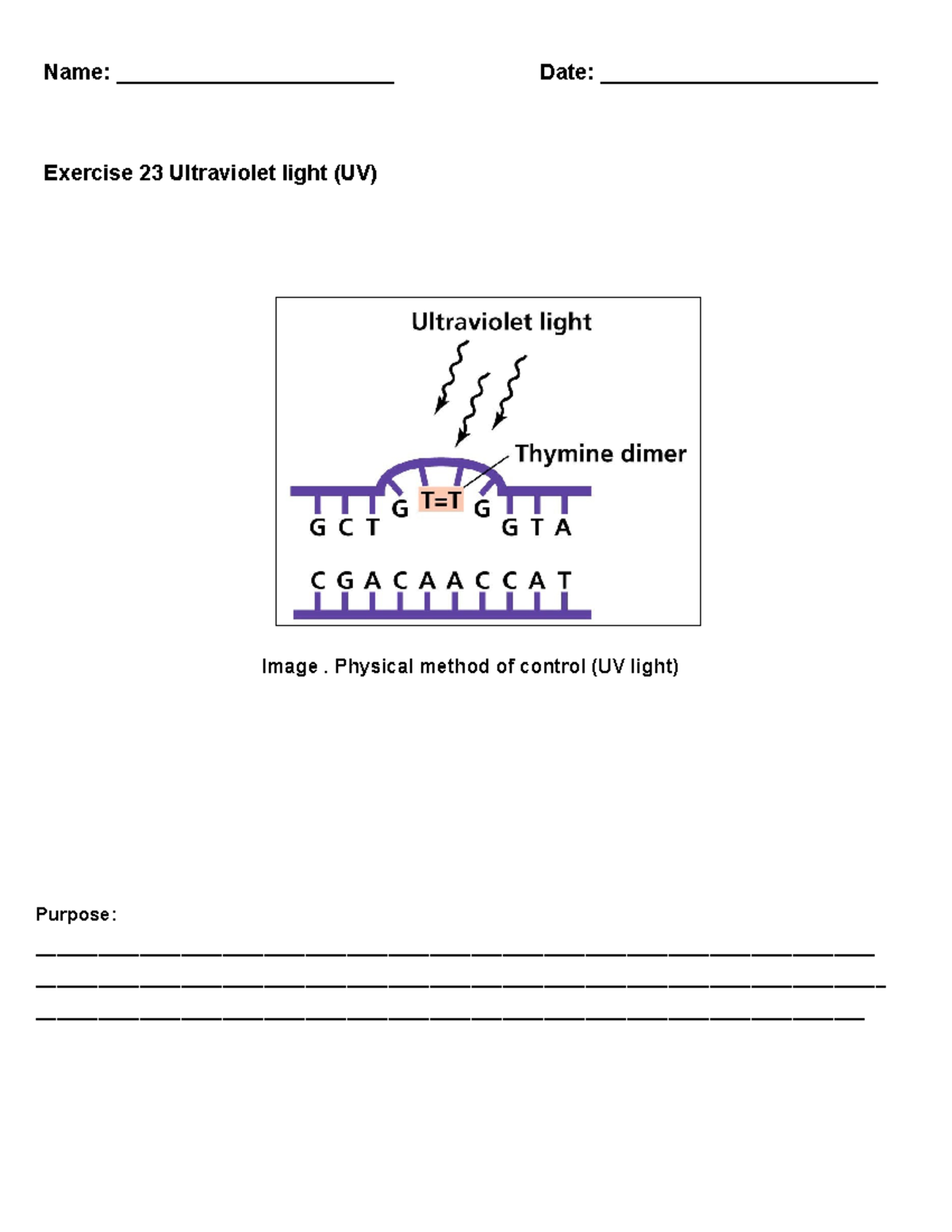 Exercise 23 Ultraviolet light - Name: _______________________ Date